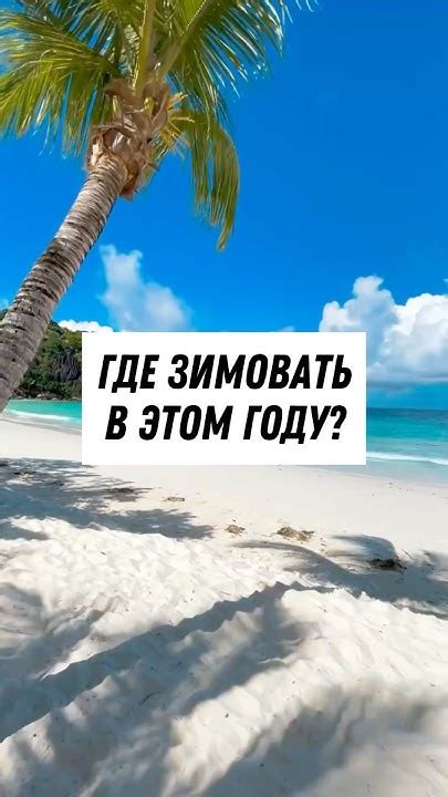 Выбираем страну для зимовки 🌴 Youtube