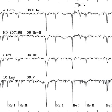 The O Type Main Sequence Stars Reproduced From Stellar Spectral Download Scientific Diagram