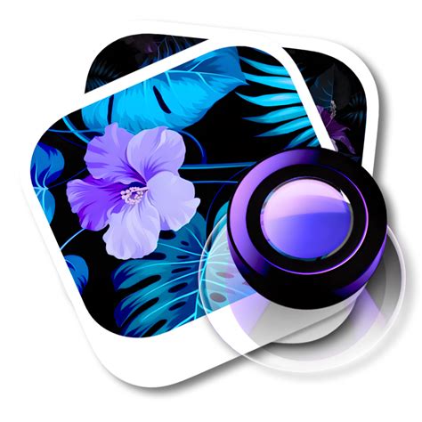 Photo Gallery Viewer 22722191 Png
