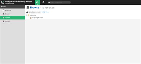 Custom Node Module Management Using Private Npm Registry Configured In