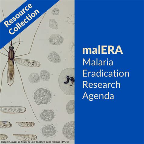 Microscopy For The Detection Identification And Quantification Of Malaria Parasites On Stained