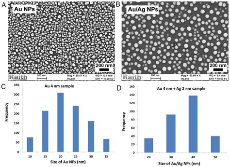 32 The Sem Image A And Corresponding Size Distribution C Of Download Scientific Diagram