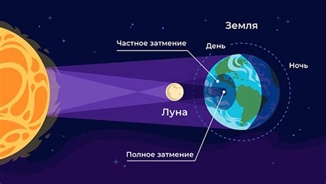 Space VECTOR GRAPHICS Behance