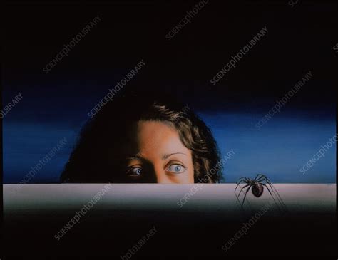 Arachnophobia Stock Image M245 0079 Science Photo Library