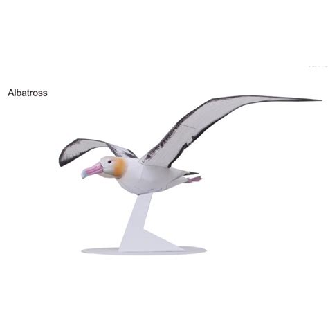 โมเดลกระดาษ 3d Albatross นกอัลบาทรอส กระดาษโฟโต้เนื้อด้าน กันละอองน้ำ ขนาด A4 220g Shopee