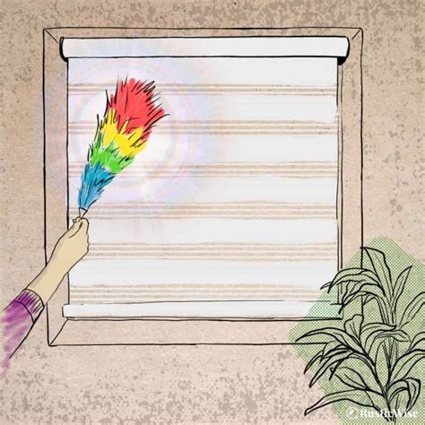 How To Clean Zebra Blinds Dos And Donts Rusticwise