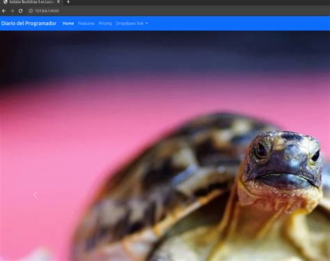 instalar bootstrap 5 en laravel 9 y vite diario del programador
