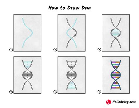 How To Draw Dna Helloartsy