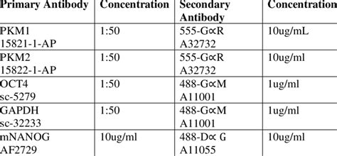 Immunofluorescence Antibody And Stain List 1149 Download Scientific