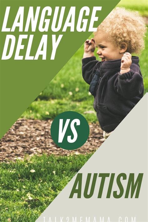 Language Delay Vs Autism The Critical Differences Artofit