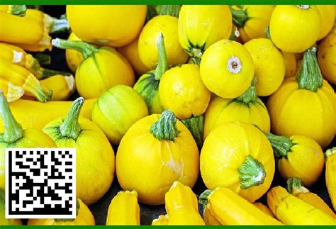 Barcode Technology Library The Food Industrys Data Matrix Barcode