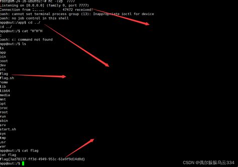 网鼎杯 2020 白虎组 Picdown任意文件读取 Csdn博客