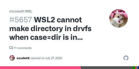Wsl2 Cannot Make Directory In Drvfs When Casedir Is In Mount Option