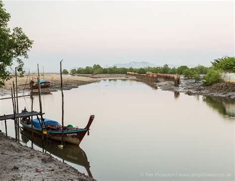 Mangroves Reducing The Risk Of Disaster Through Nature Based Solutions Leo Thom