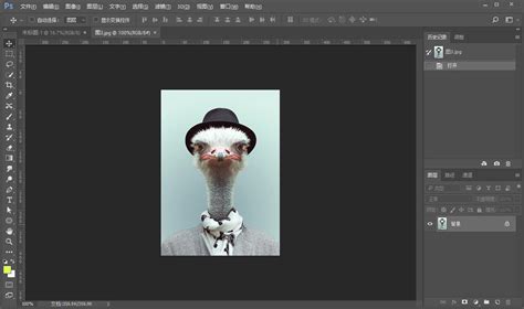 Ps对齐与分布快速排列图片技巧 Ps移动工具 知乎