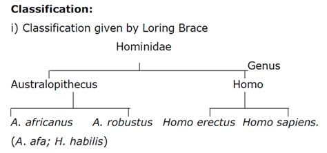 Ramapithecus 1 Anthropology Optional For UPSC PDF Download