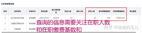 单位社保操作流程社会保险职工增员 减员缴费核定怎么做工资申报怎么做 知乎