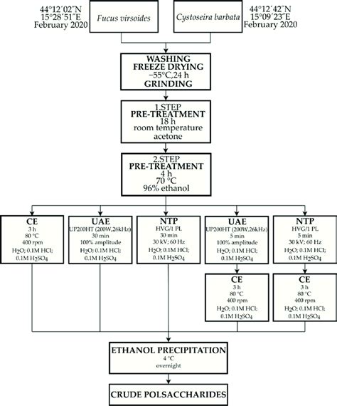 Schematic Diagram Of The Experiment Schematic Diagram Of The Experiment Download Scientific