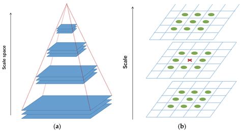 Sustainability Free Full Text A Framework For Using UAVs To Detect