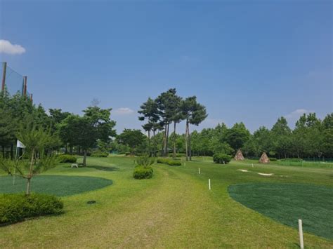 고양 일산 성저 파크골프장에서 파크 골프 즐기기 네이버 블로그
