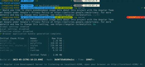 Primeiro Projeto Em Angular 1 História Do Angular By Juliana Giusti Medium