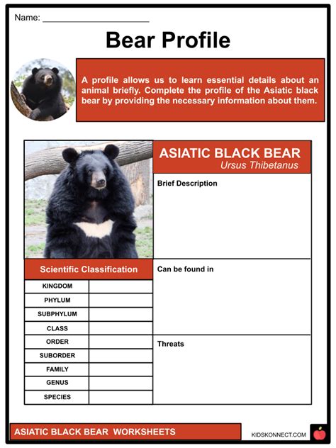 Asiatic Black Bear Facts And Worksheets Behavior Habitat Status