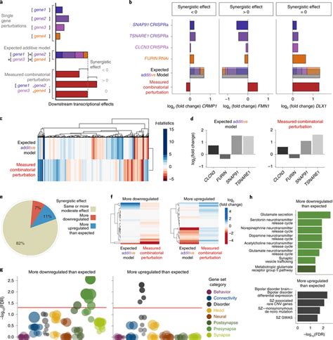 The Synergistic Effects Of Sz Eqtl Genes Converge On Synaptic Function Download Scientific