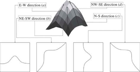 Tree Top Detection Process In The Four Direction Unconstrained