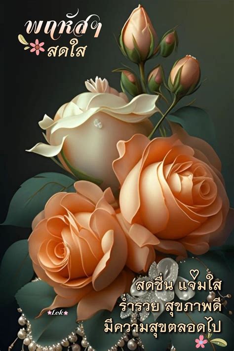 พฤหัส ฯ สดใส Flower Show Beautiful Flowers Beautiful Nature