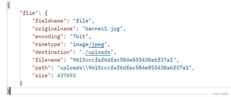 在 Node 中使用 Koa Multer 库上传文件详解 Csdn博客