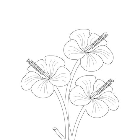벡터 그래픽으로 책 낙서 라인 아트 꽃 스케치의 히비스커스 꽃 색칠 페이지 프리미엄 벡터