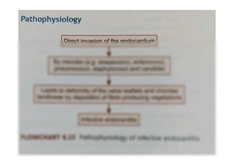 Solution Pathophysiology Of Infective Endocarditis Studypool