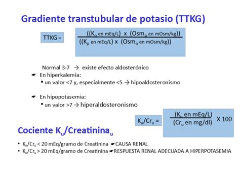 Trastornos Del Potasio Nefrología Al Día