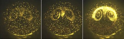 Particles Stuck On The Bubble Surface And Visualizing The Secondary