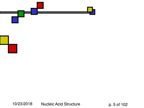 Ppt Decoding Nucleic Acid Structure For Dna Function Insights
