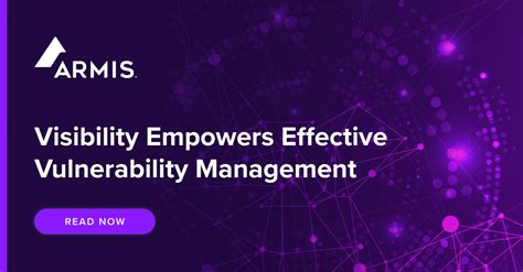 Visibility Empowers Effective Vulnerability Management Armis