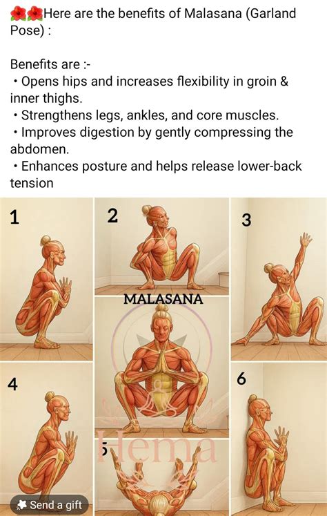 Yoga Everyday Habuild Malasan With Some Variants Very Helpful For