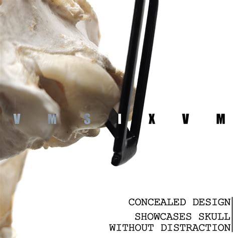 Vmsixvm European Deer Skull Mount Hanger Euro Wall