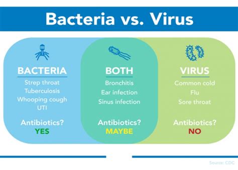 What Is The Difference Between Viral And Bacterial Infections Armada