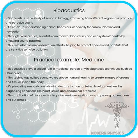 Bioacoustics Research Applications And Ecosystems Impact