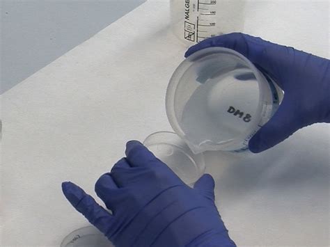 Video A Rapid Scalable Method For The Isolation Functional Study And Analysis Of Cell