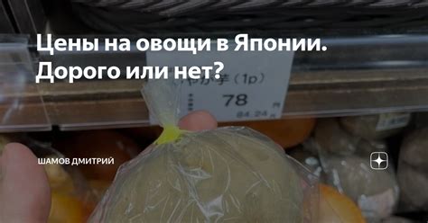 Цены на овощи в Японии Дорого или нет Шамов Дмитрий Дзен