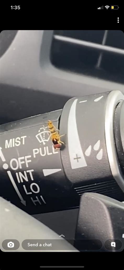 Friend And I Were Curious What Is This One Called Idk Why Its Nsfw