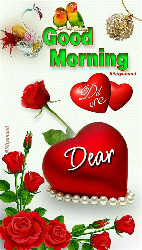 Top 999 Good Morning Love Hd Images Amazing Collection Good Morning