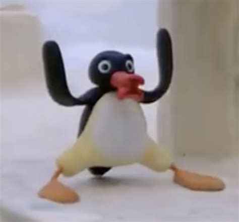 Pingu Memes Pingu Memes Pingu Pingu Pingu