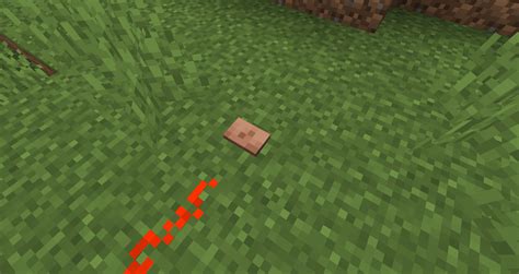 Minecraft Belly