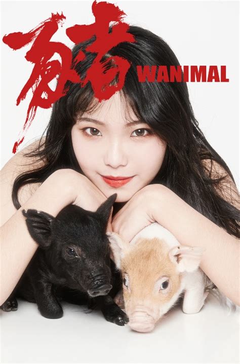 Wanimal王动 2019年02月作品集 微图坊