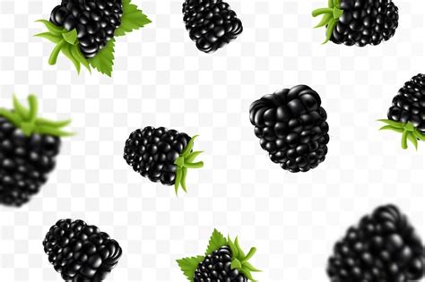 블랙베리 우유 스플래시가 투명한 배경에 고립되어 떠 있습니다 무료 Psd 파일