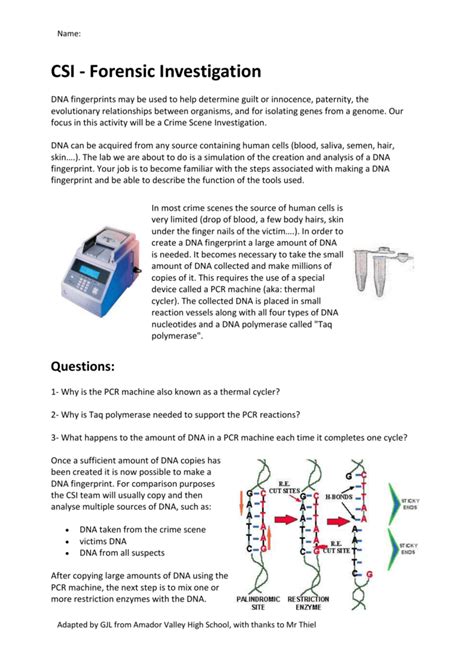 Csi Worksheet Dna Fingerprinting