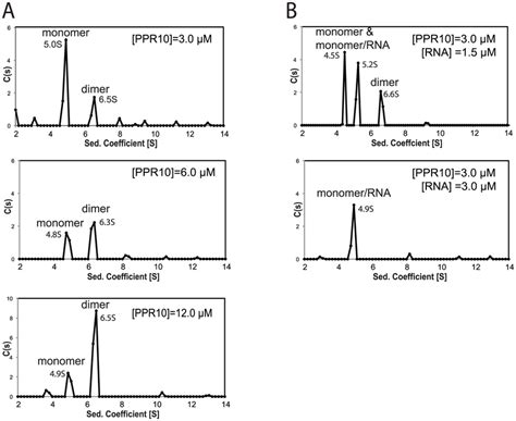 Sedimentation Velocity Analytical Ultracentrifugation Of Rppr10 And